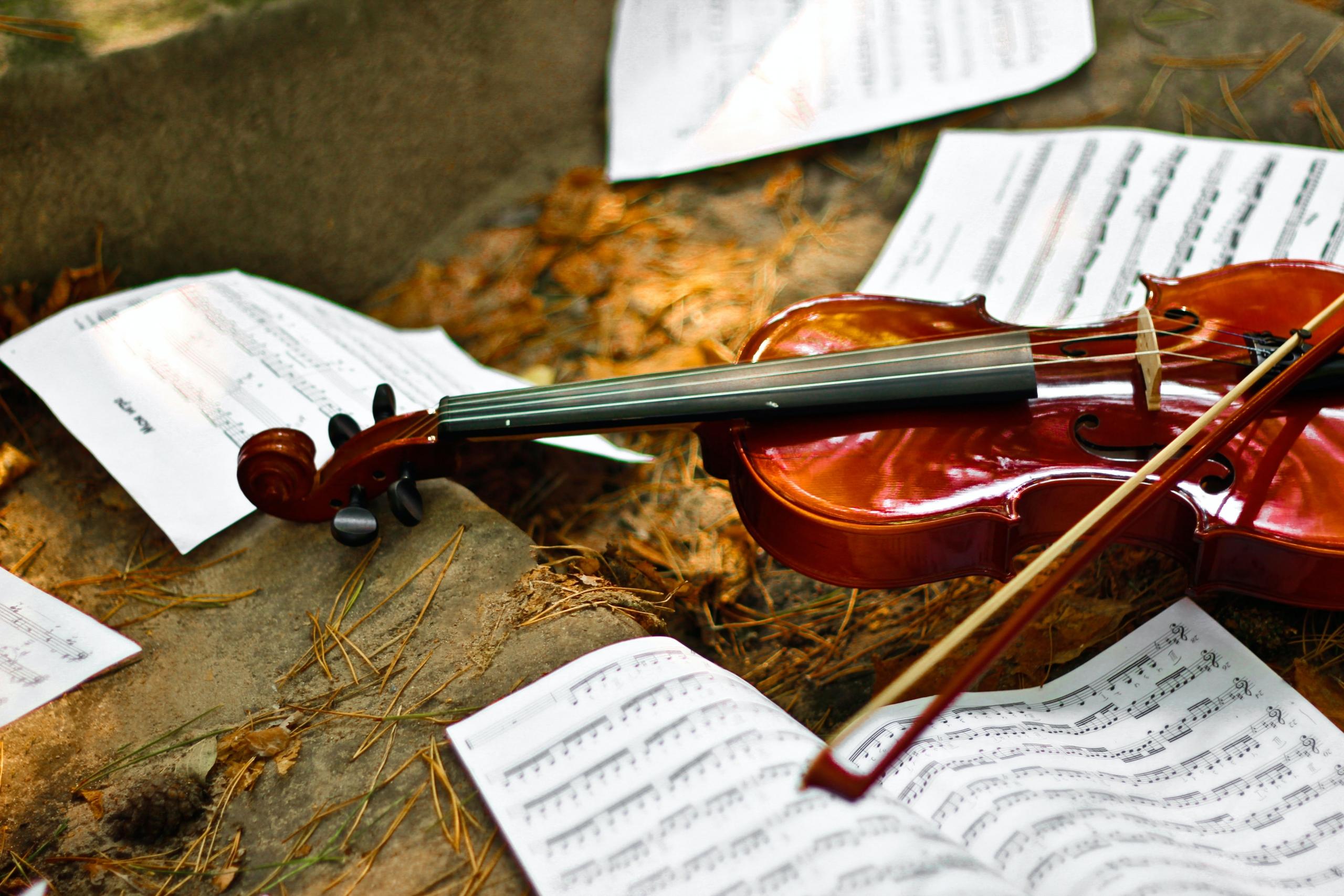 Viulunsoiton opettelu alkeista lähtien | Superprof